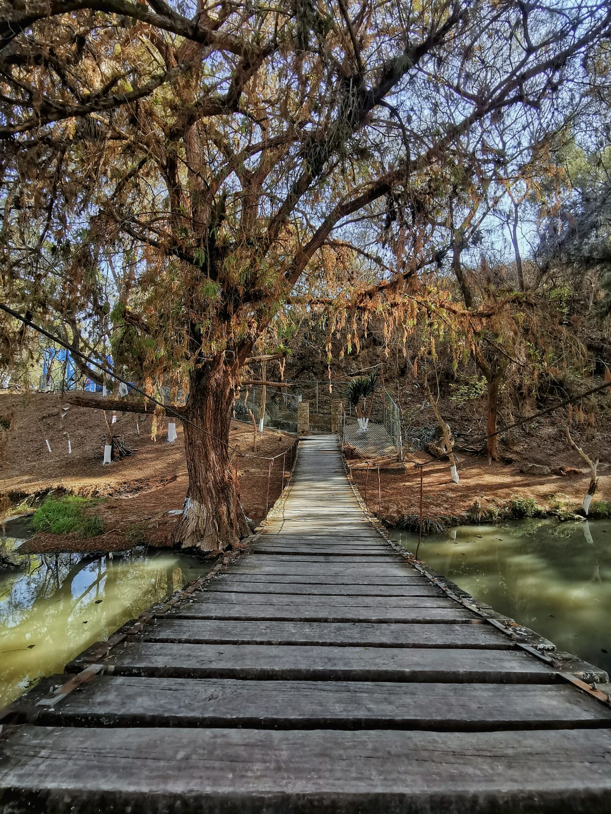 Parque del Sol - Tonatico